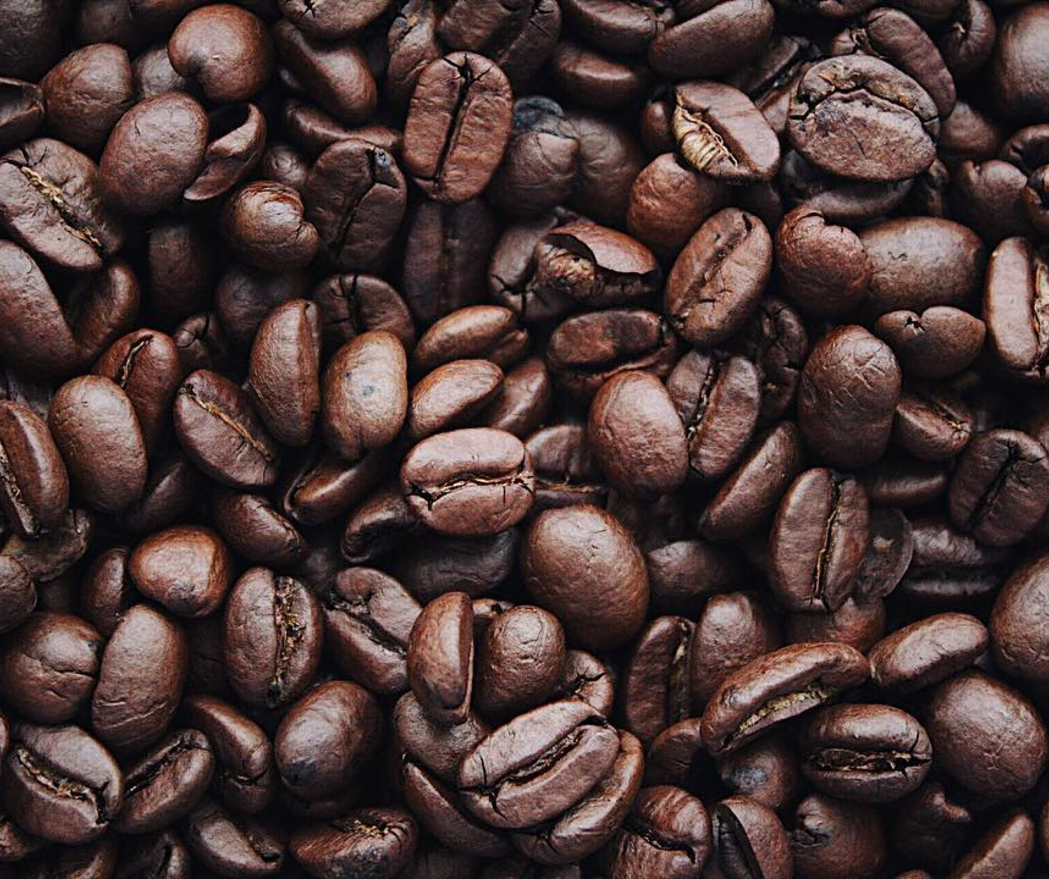 Welcome to the home of JSA Coffee Roasting – JSA Coffee Roasting LLC